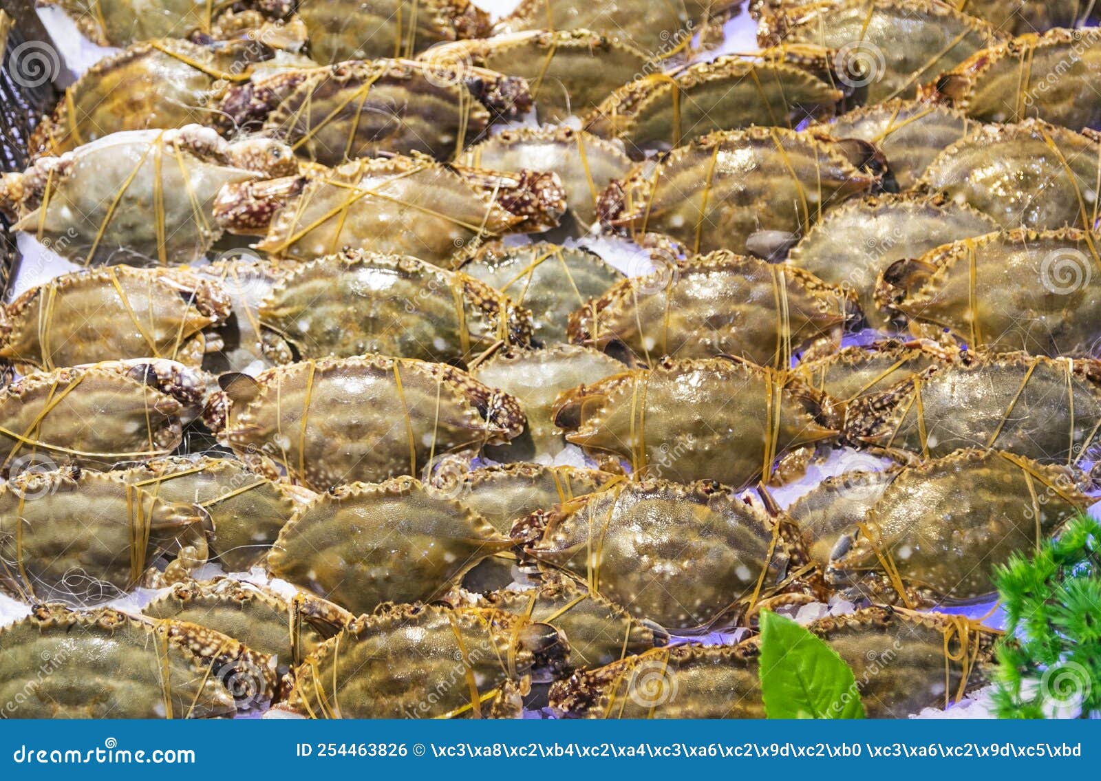 The Seafood in the Cafeteria Stock Photo - Image of frosted, plant ...