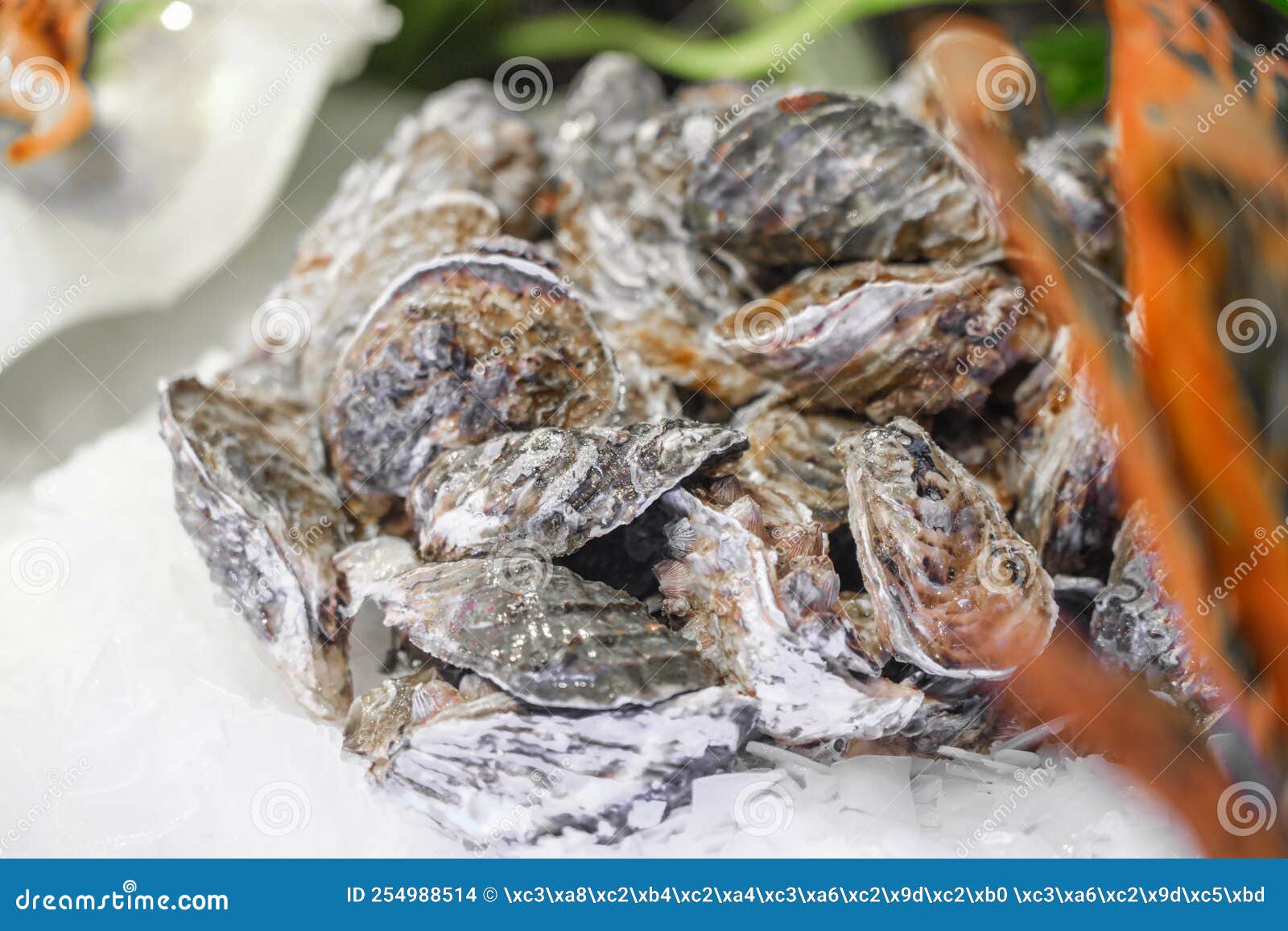 The Seafood in the Cafeteria Stock Photo - Image of cuisine, fish ...