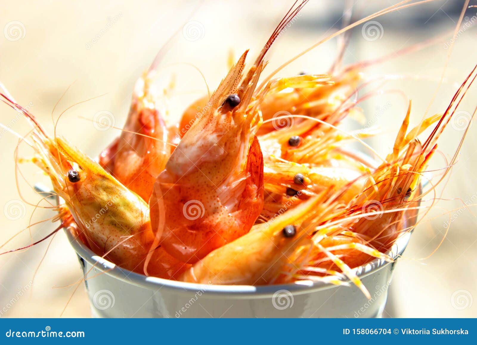 Seafood. Close - Up of Large Cooked Whole Shrimp in a Shell Stock Photo ...