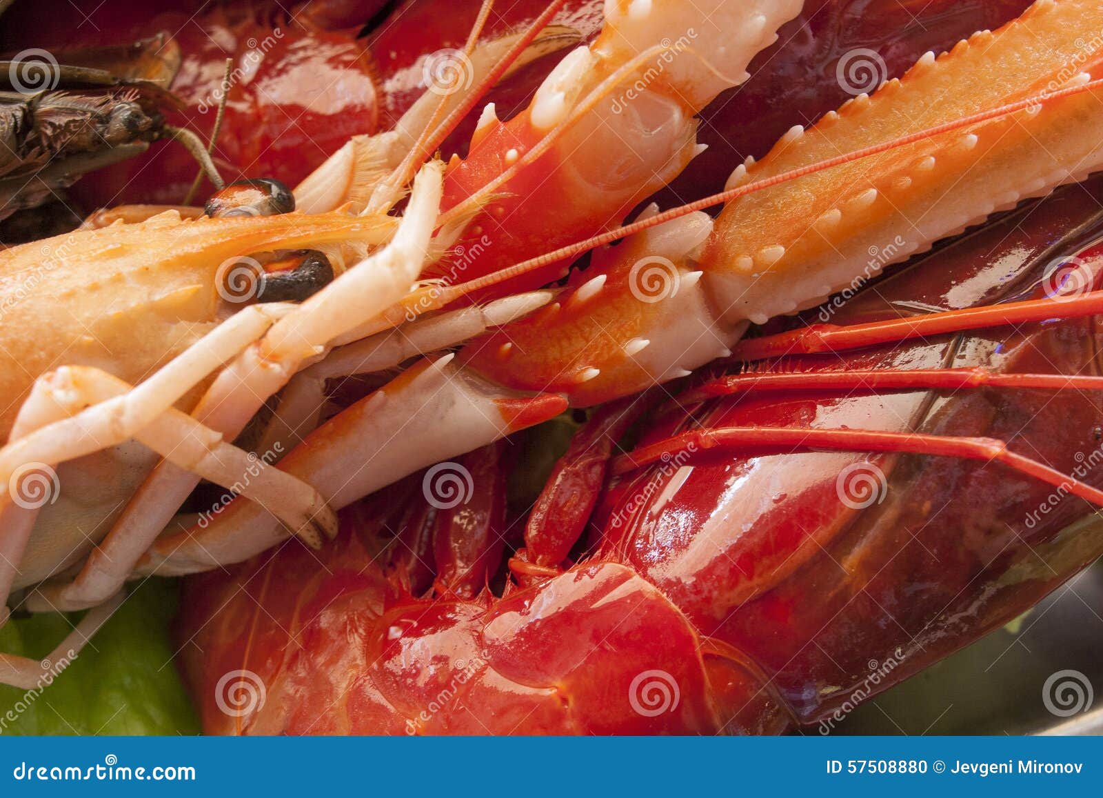 Seafood closeup stock photo. Image of fishing, king, fishmonger - 57508880