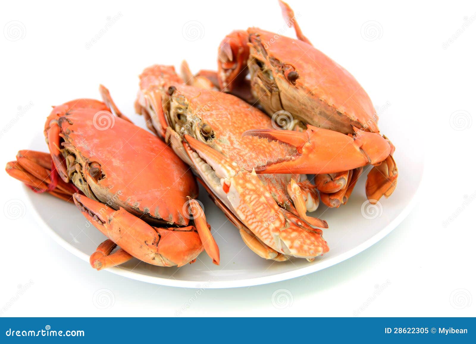 Seafood,cooked Crabs on Plate Stock Image - Image of aquatic, dinner ...