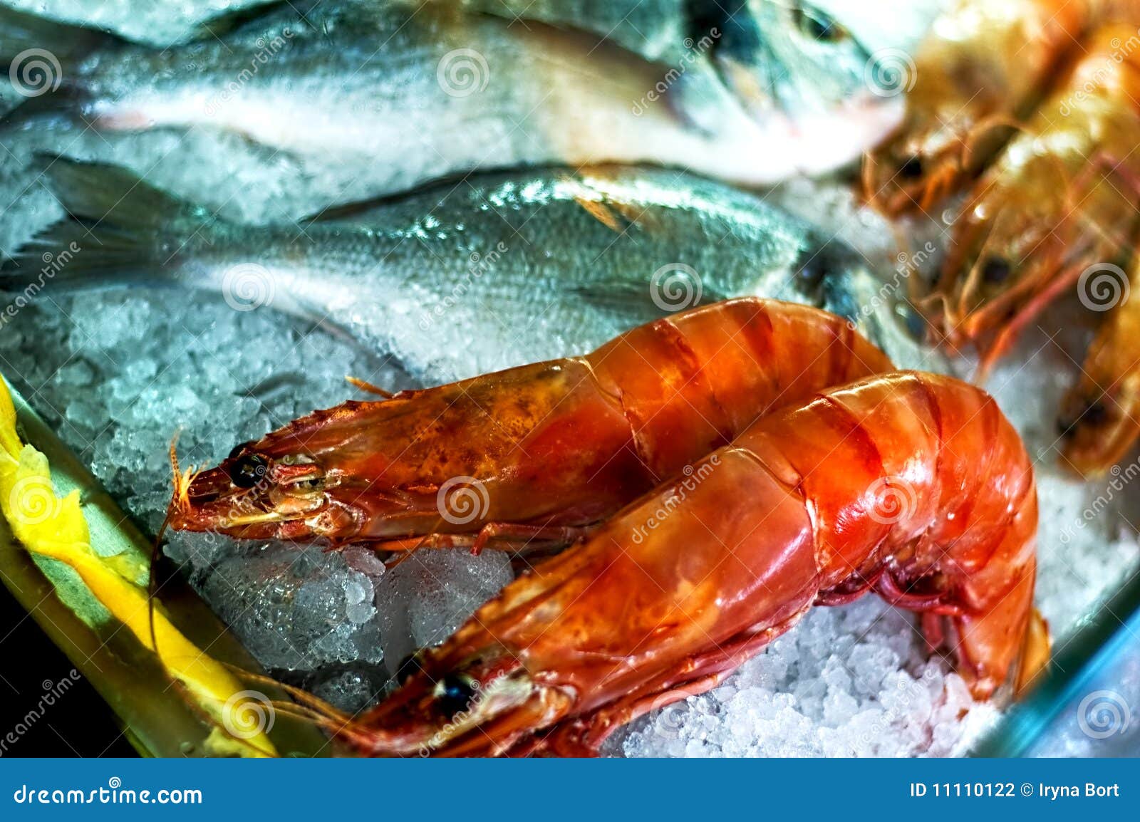 Seafood and crevettes stock photo. Image of food, delicious - 11110122