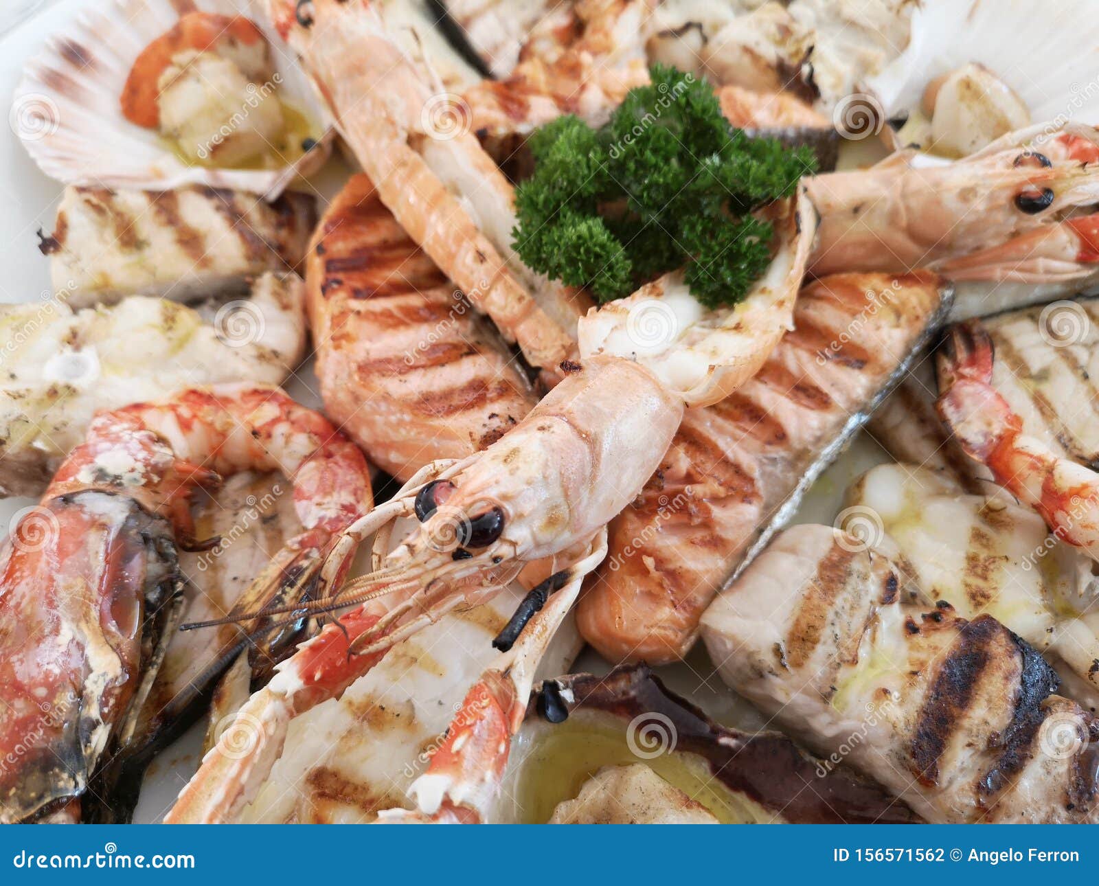 Seafood Dish Mixed Shrimp and Shellfish Stock Photo - Image of cold ...