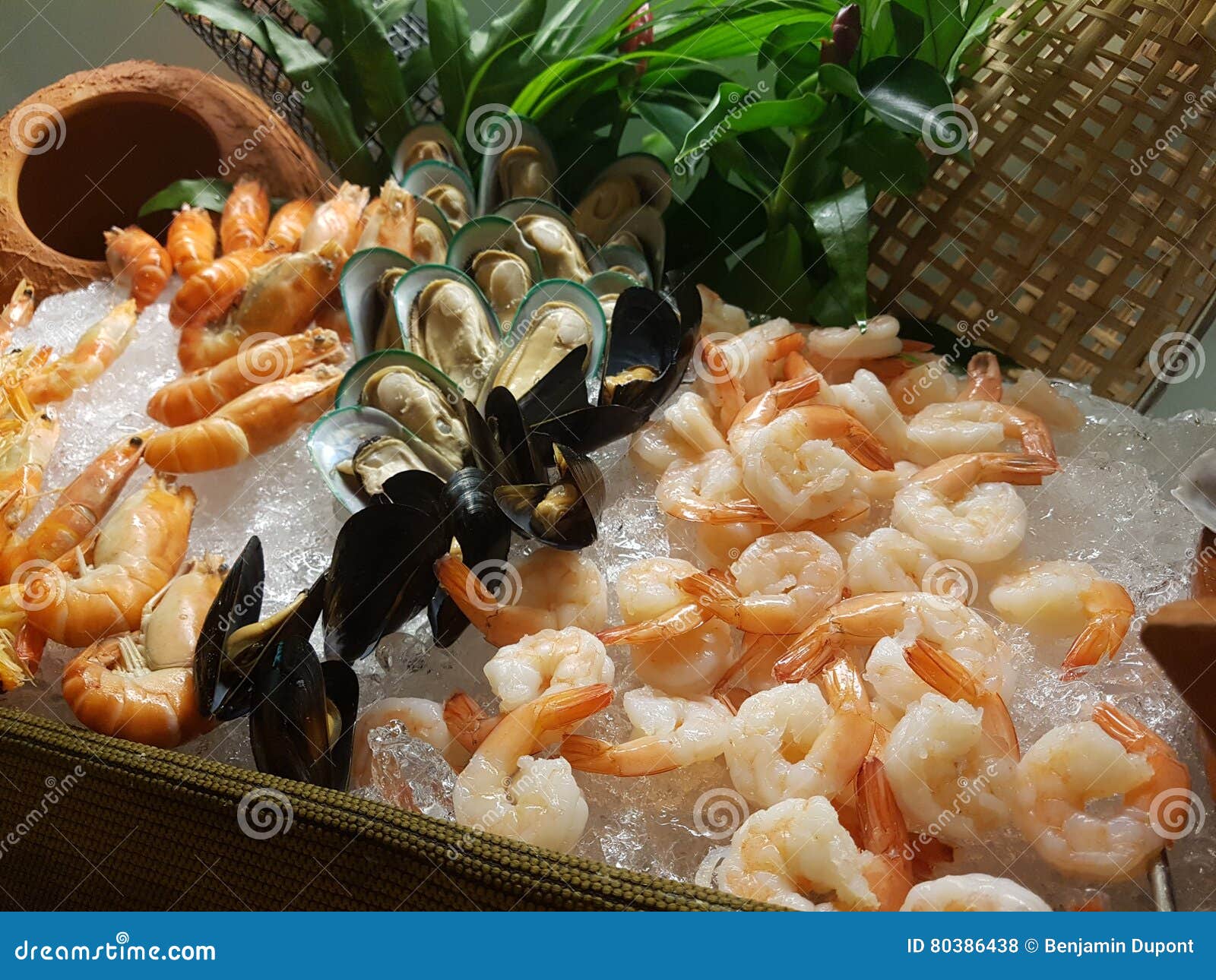 Seafood display buffet stock photo. Image of selection - 80386438