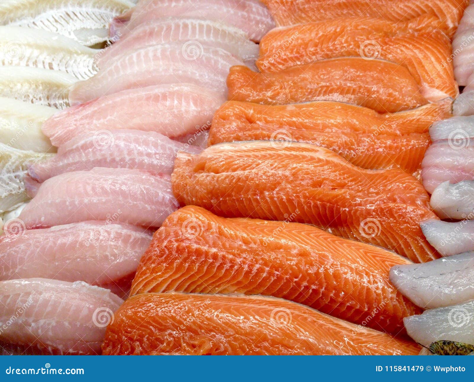 Seafood display case stock image. Image of closeup, seafood - 115841479