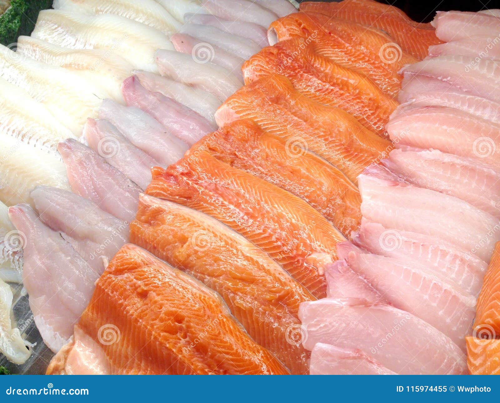 Seafood display case stock image. Image of gourmet, marine - 115974455