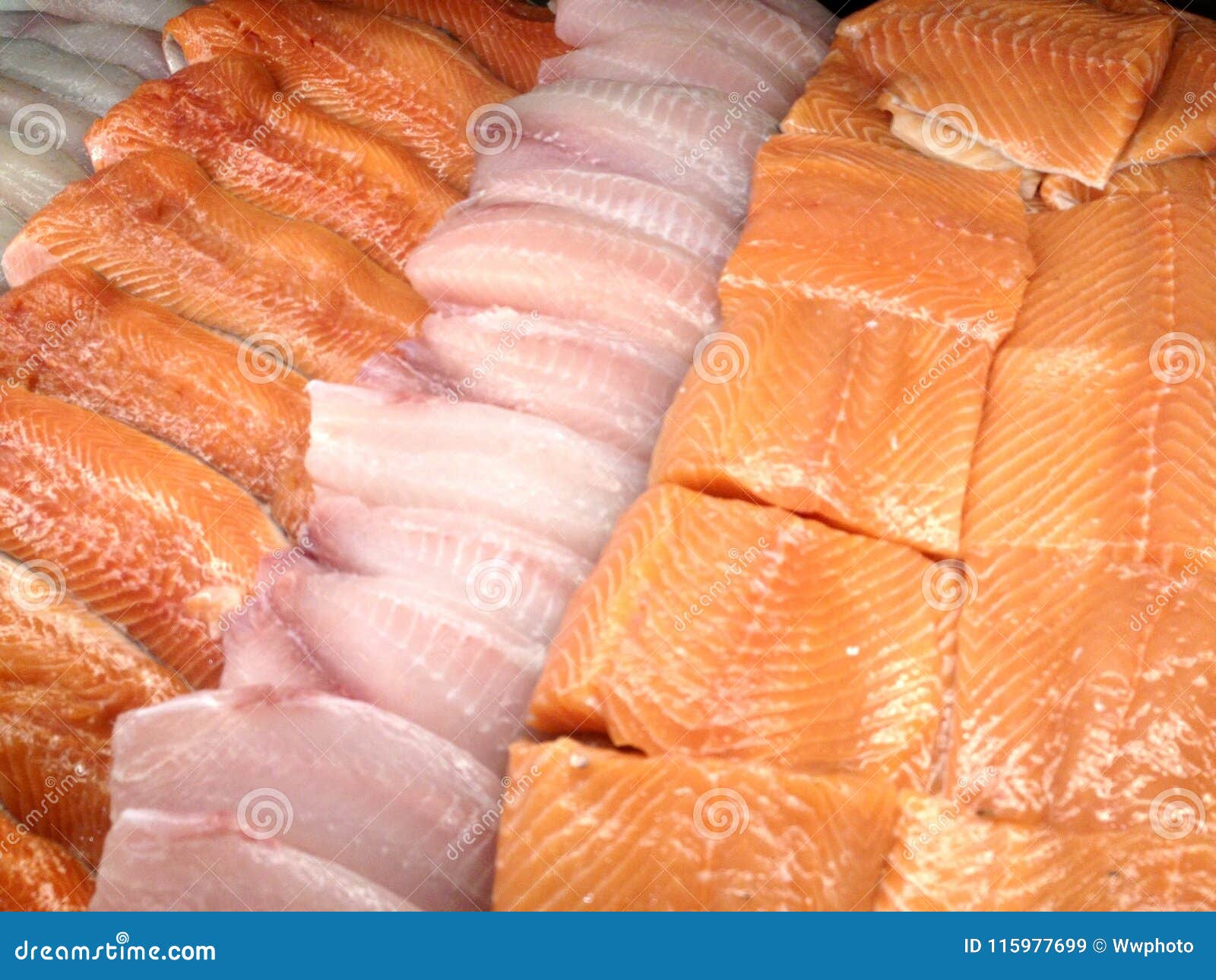 Seafood display case stock image. Image of fild, stacks - 115977699