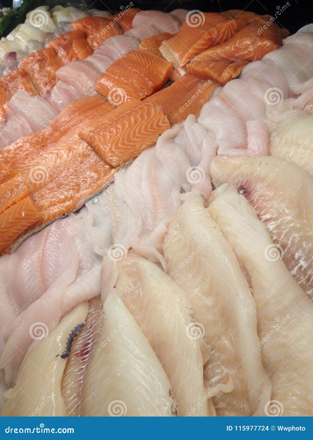 Seafood display case stock photo. Image of fresh, tilapia - 115977724