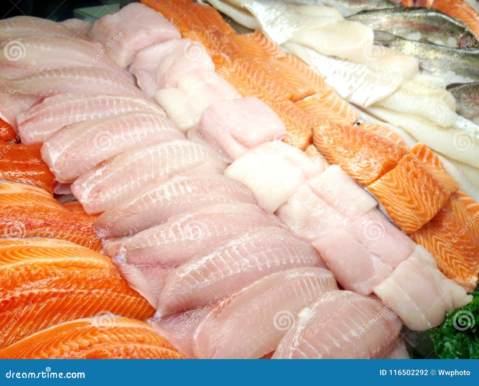 Seafood display case stock photo. Image of cold, fish - 116502292