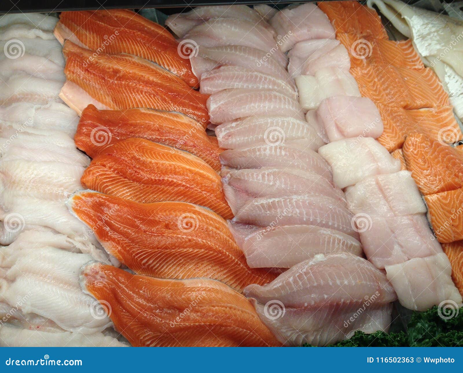 Seafood display case stock image. Image of market, store - 116502363