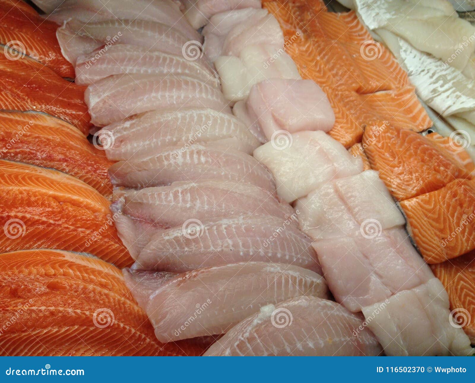 Seafood display case stock photo. Image of seafood, supermarket - 116502370