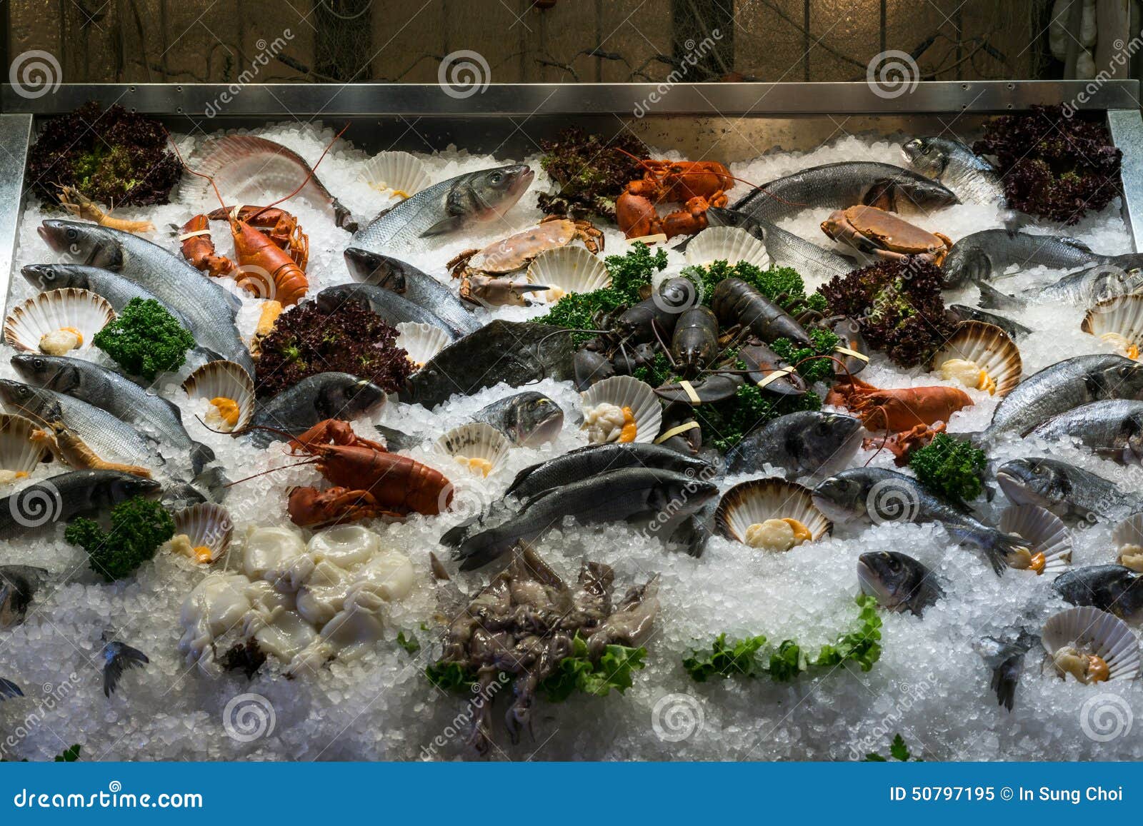 Seafood on display stock image. Image of fresh, market - 50797195