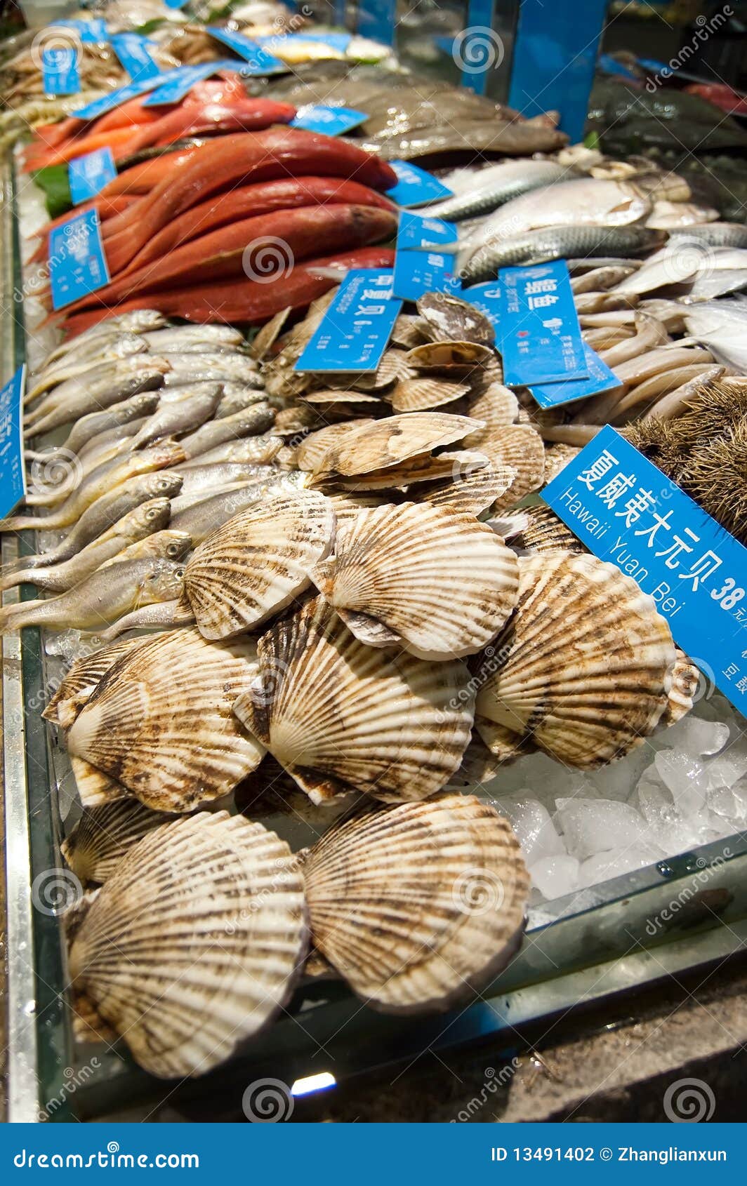 Seafood display in market stock photo. Image of fish - 13491402