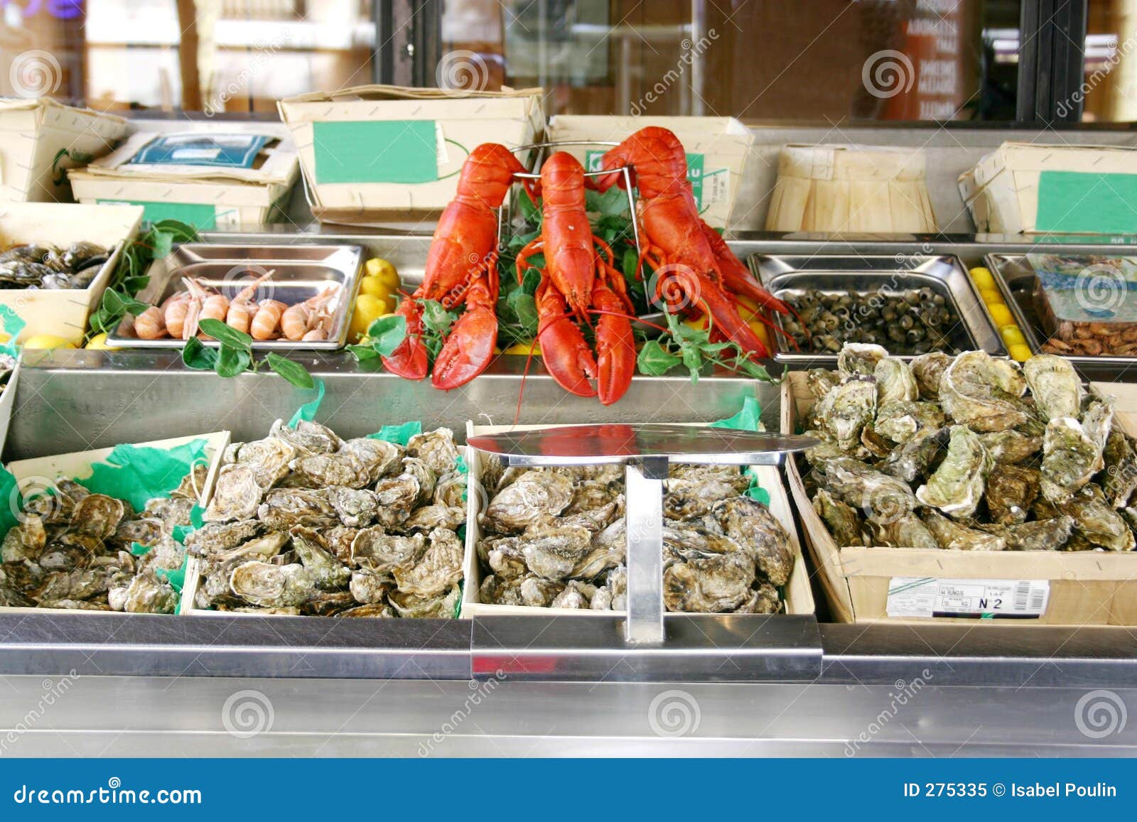 Seafood display in market stock image. Image of oysters - 275335