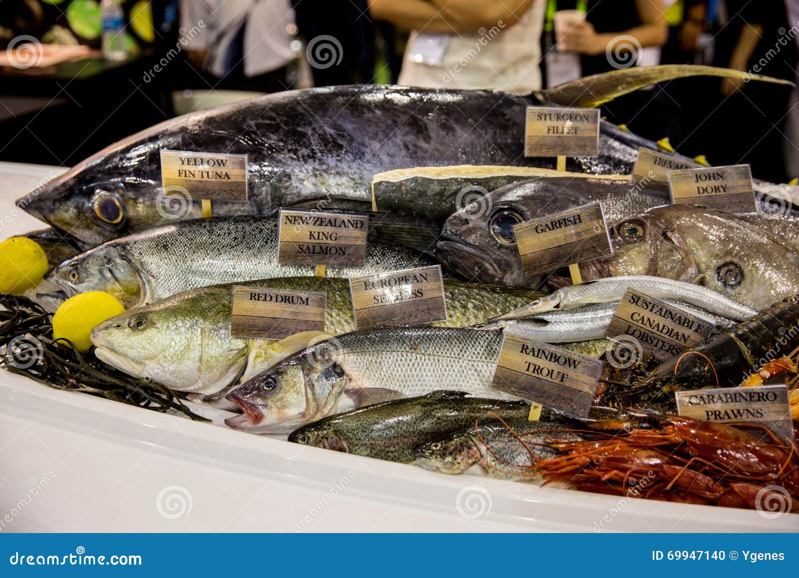 Seafood stock photo. Image of mussels, food, oysters - 69947140