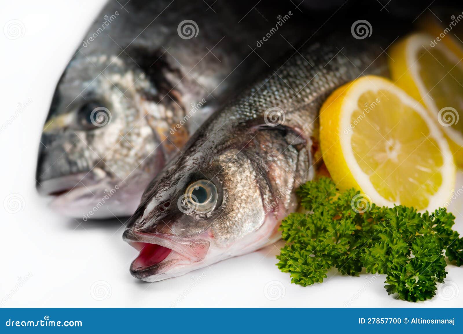 Seafood Fresh Fish - in White Background Stock Photo - Image of healthy ...