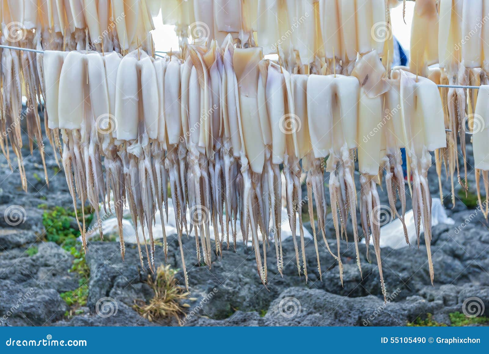 Seafood stock photo. Image of yummy, cooking, food, dinner - 55105490