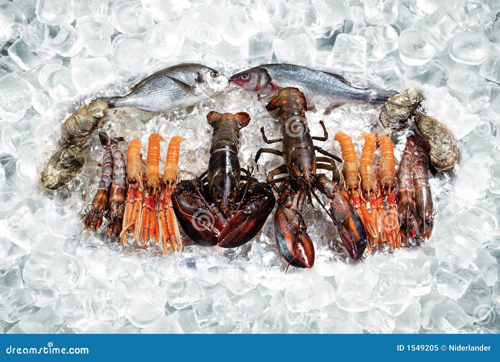 Seafood on ice stock image. Image of restauraunt, seafood - 1549205