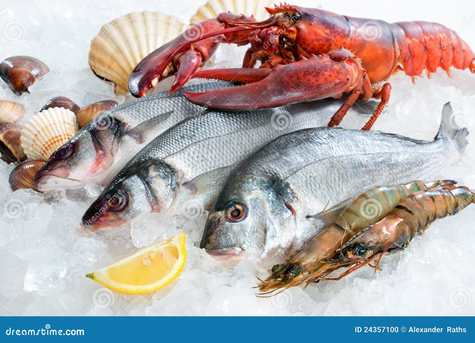 Seafood on ice stock photo. Image of fish, fresh, market - 24357100