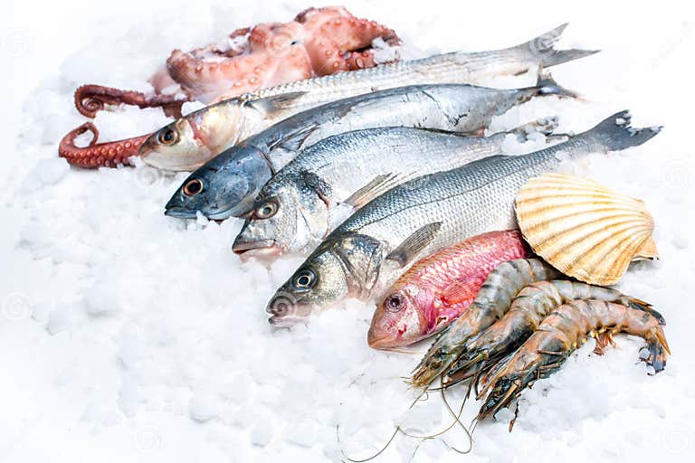 Seafood on ice stock image. Image of gilthead, market - 38406163