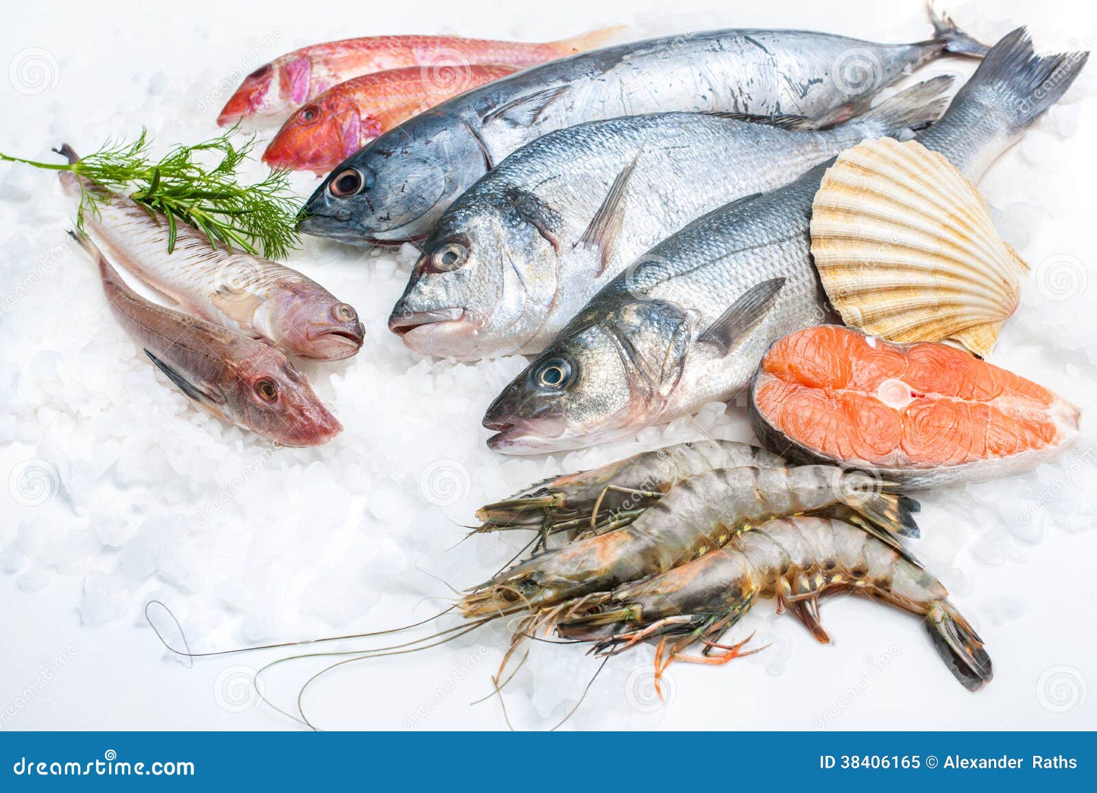 Seafood on ice stock image. Image of eating, gilthead - 38406165