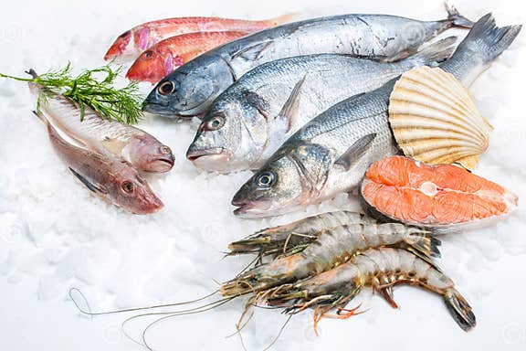 Seafood on ice stock image. Image of eating, gilthead - 38406165