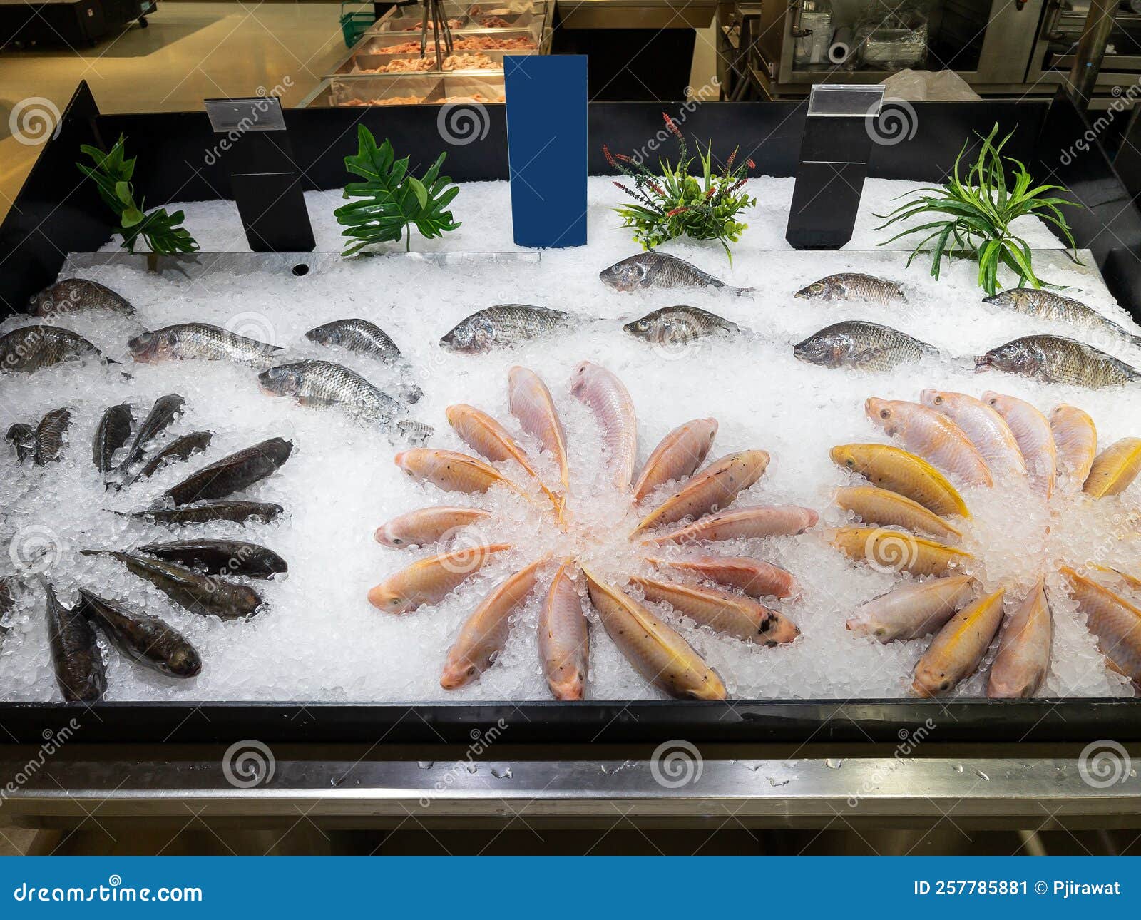 Seafood on Ice at the Fish Market Stock Image - Image of cool ...