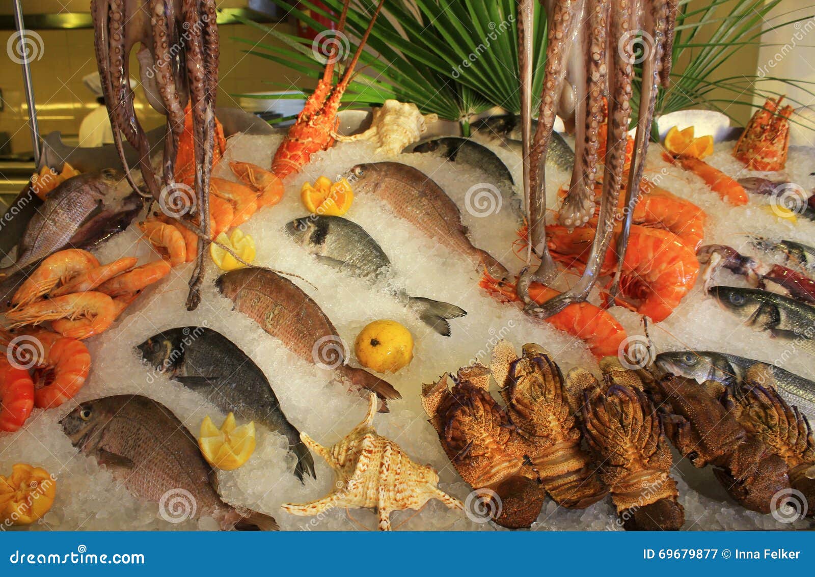 Seafood on Ice at Fish Market Stock Image - Image of close, dorado ...