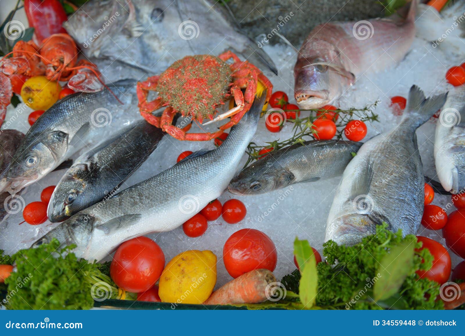 Seafood on ice stock photo. Image of nutrition, kitchen - 34559448