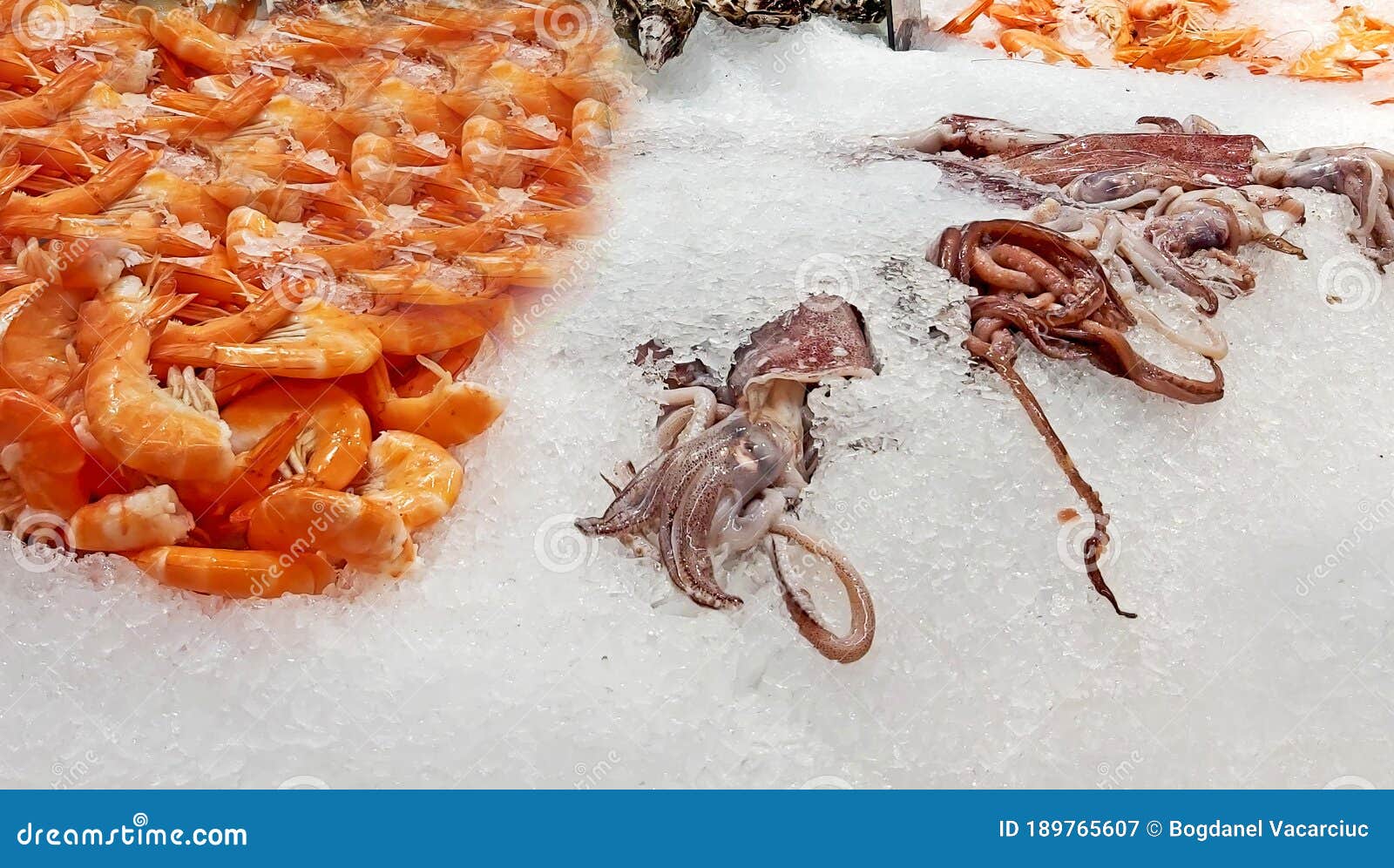 Seafood on Ice. Octopus, Squid and Crayfish Stock Image - Image of food ...