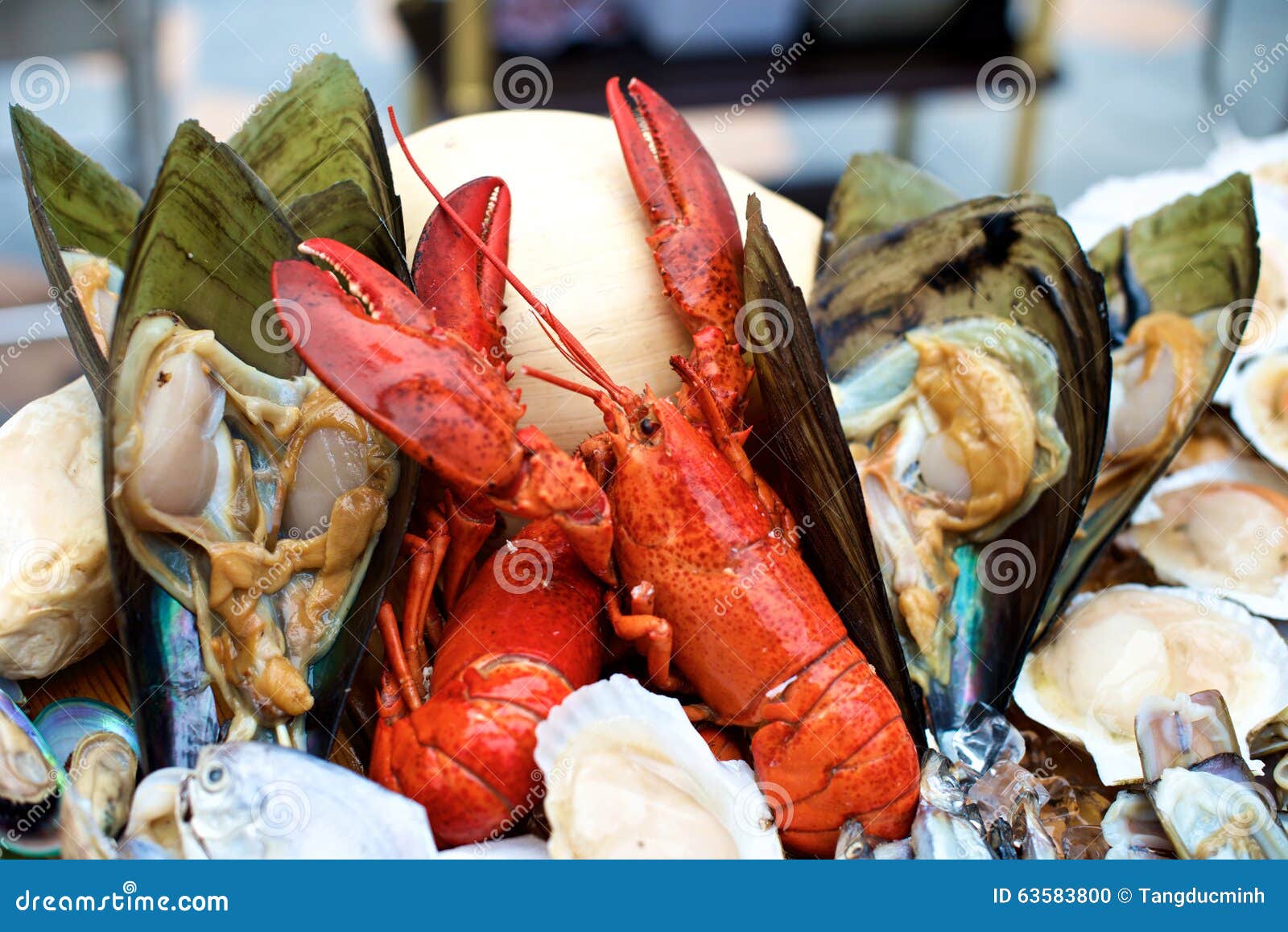 Seafood lobster stock photo. Image of crustacean, seafood - 63583800