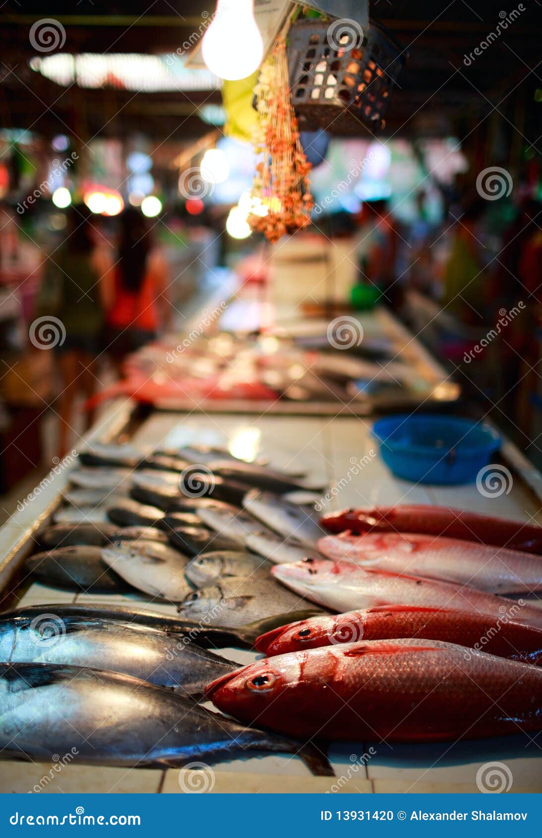 Seafood market stock photo. Image of philippines, traditional - 13931420