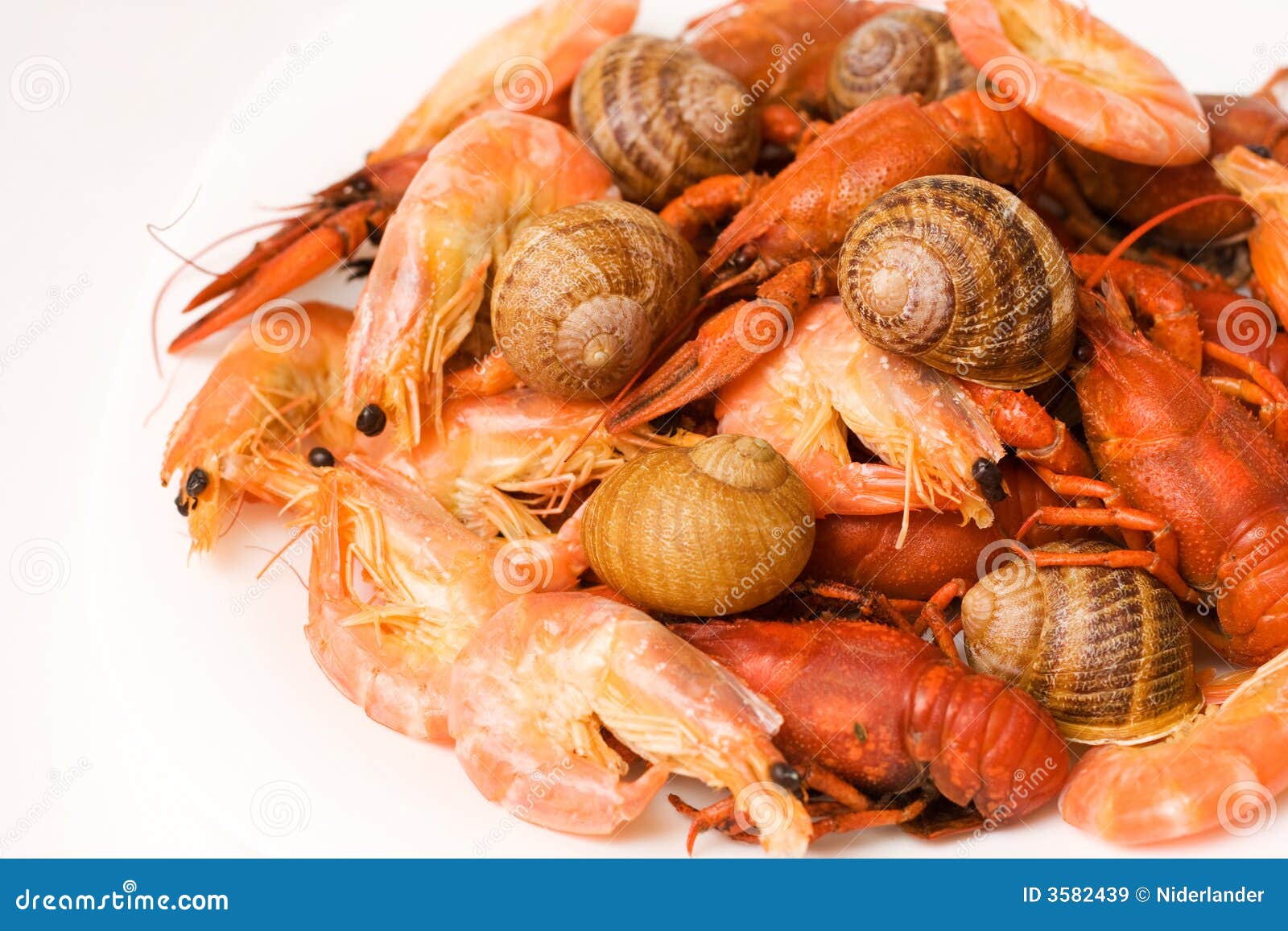 Seafood mix stock image. Image of food, boiled, healthy - 3582439