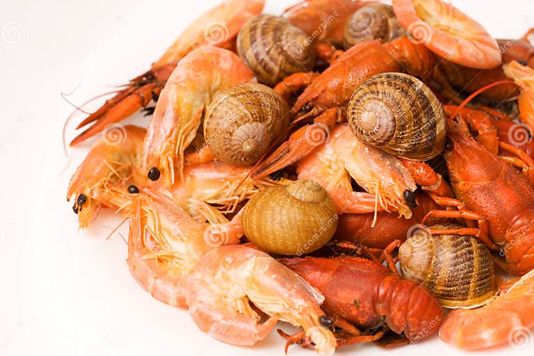 Seafood mix stock image. Image of food, boiled, healthy - 3582439