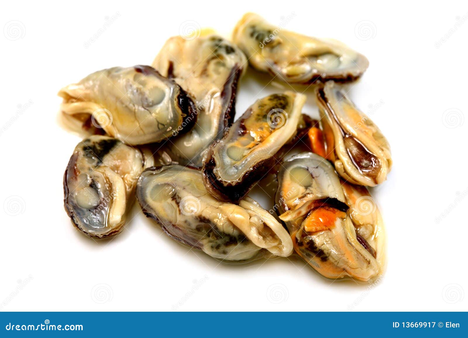 Seafood mussel stock image. Image of fresh, mussel, white - 13669917