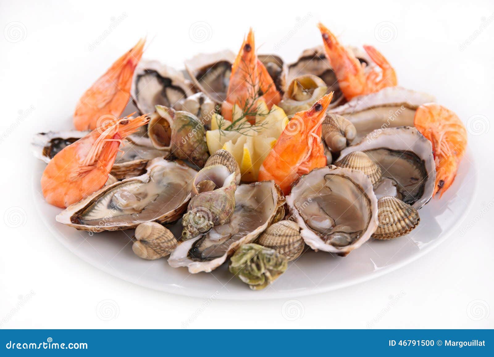 Seafood platter stock photo. Image of shell, seafood - 46791500