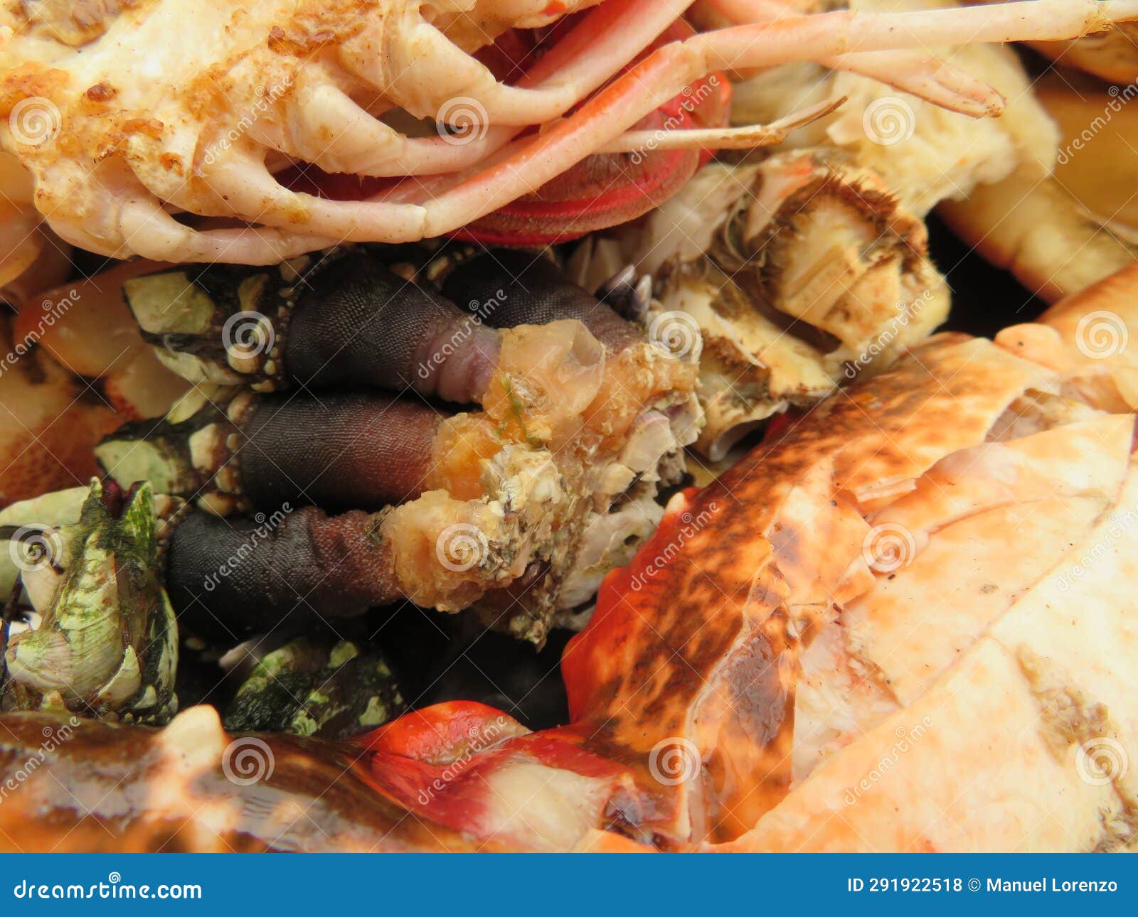 Seafood Platter Mixed Grill Prawns Lobster Lobster Scallops Stock Photo ... Seafood Platter Mixed Grill Prawns Lobster Lobster Scallops Stock Photo ...