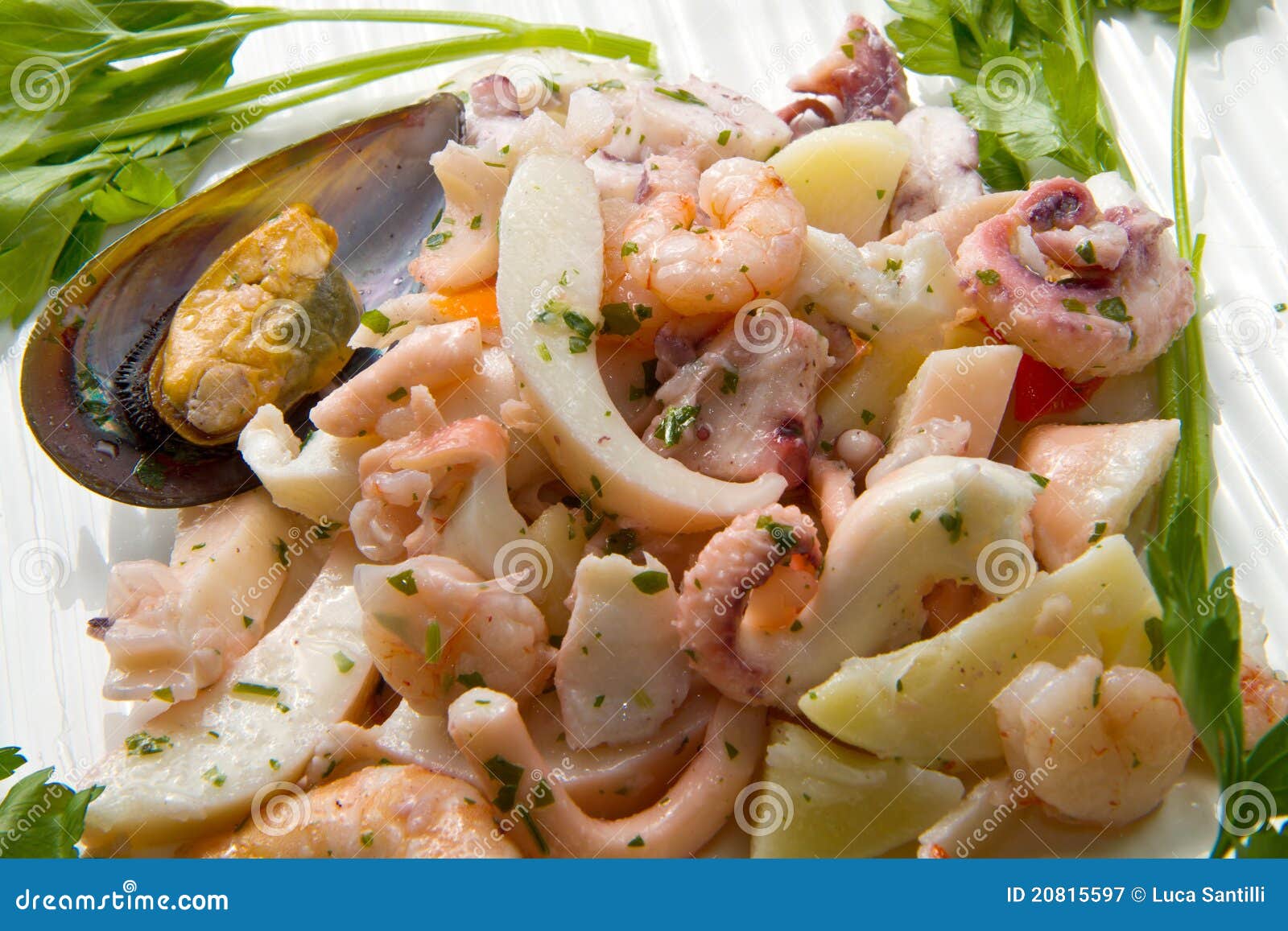Seafood Salad stock image. Image of plate, spring, peeled - 20815597