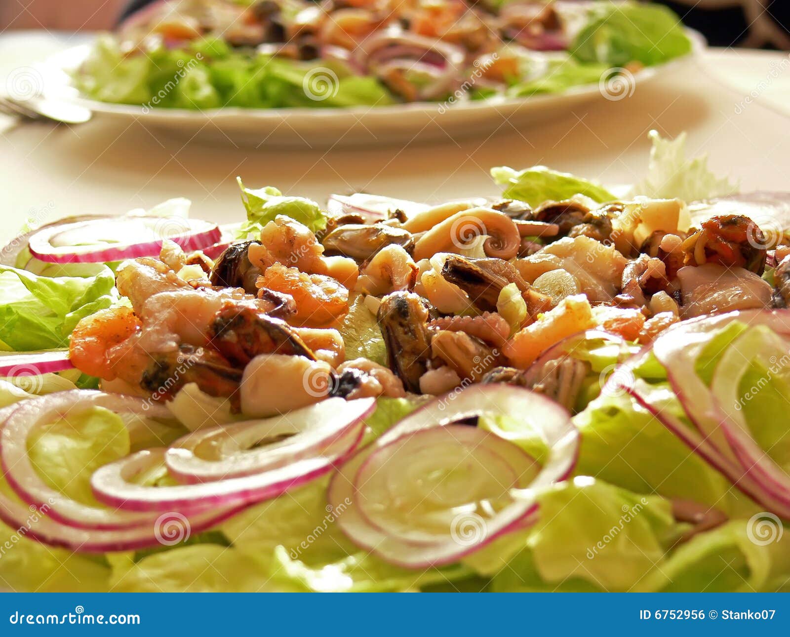 Seafood salat stock photo. Image of fish, dinner, dine - 6752956