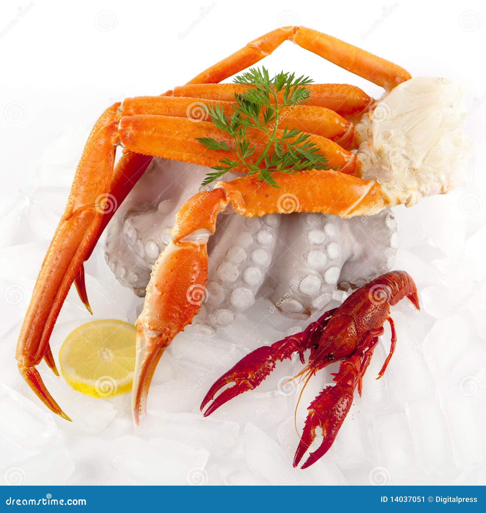 Seafood served on ice stock image. Image of hummer, meal - 14037051