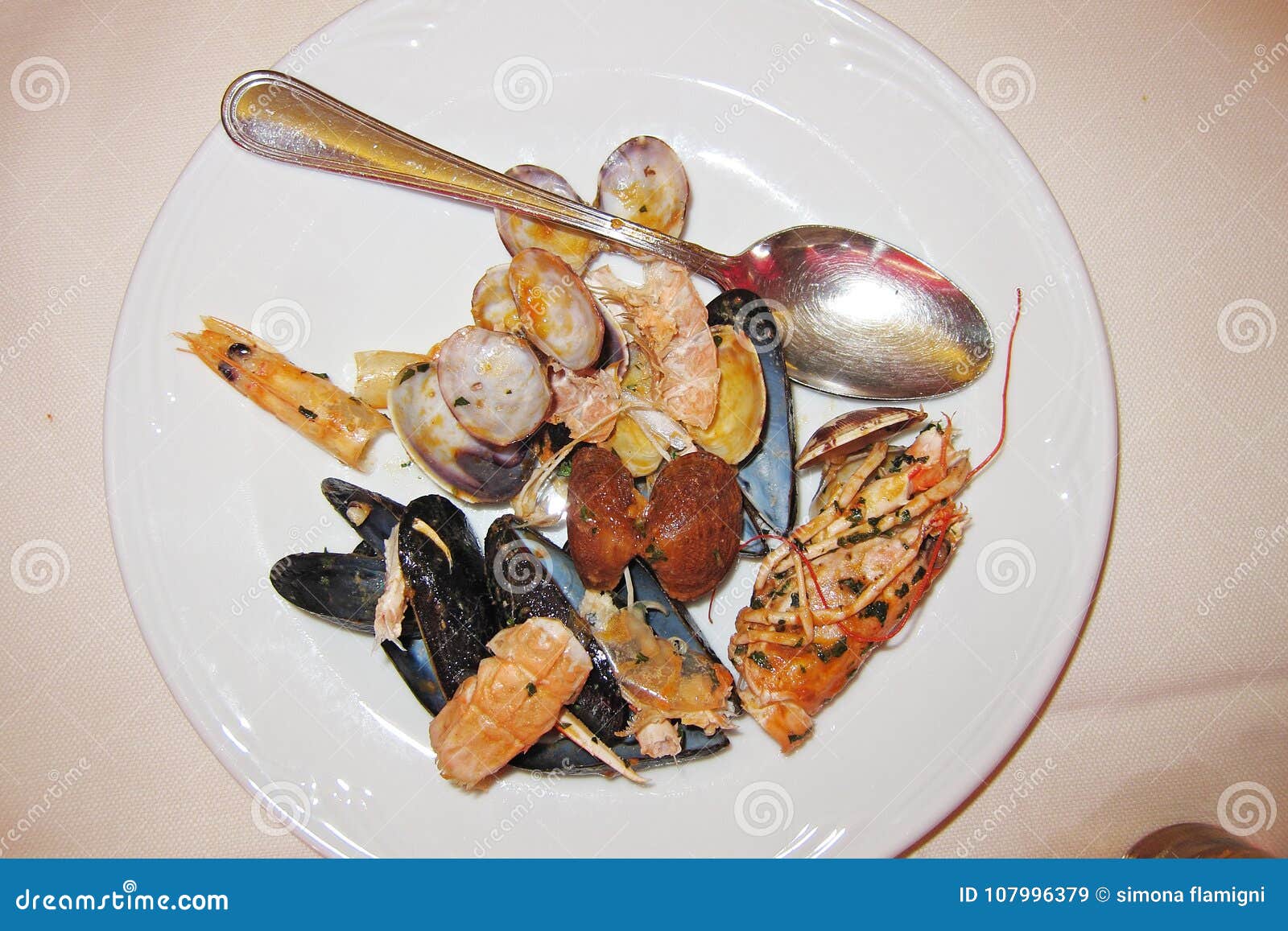 Seafood sheels stock image. Image of seashells, leftovers - 107996379