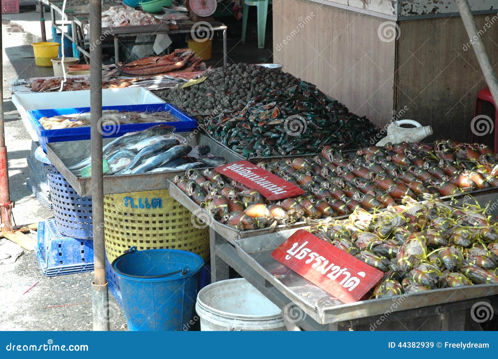Seafood Shop at Fresh Market Stock Image - Image of mussels, industry ...