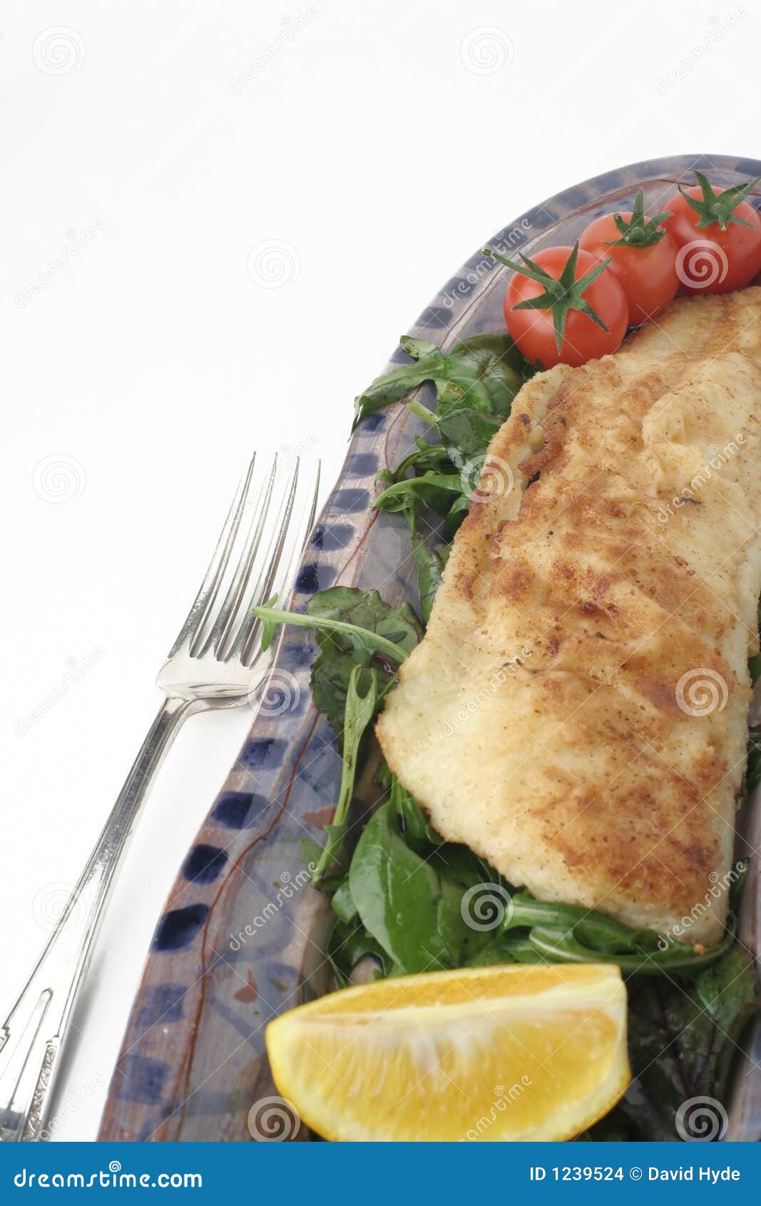 1,140 Cropped Fish Stock Photos - Free & Royalty-Free Stock Photos from ...