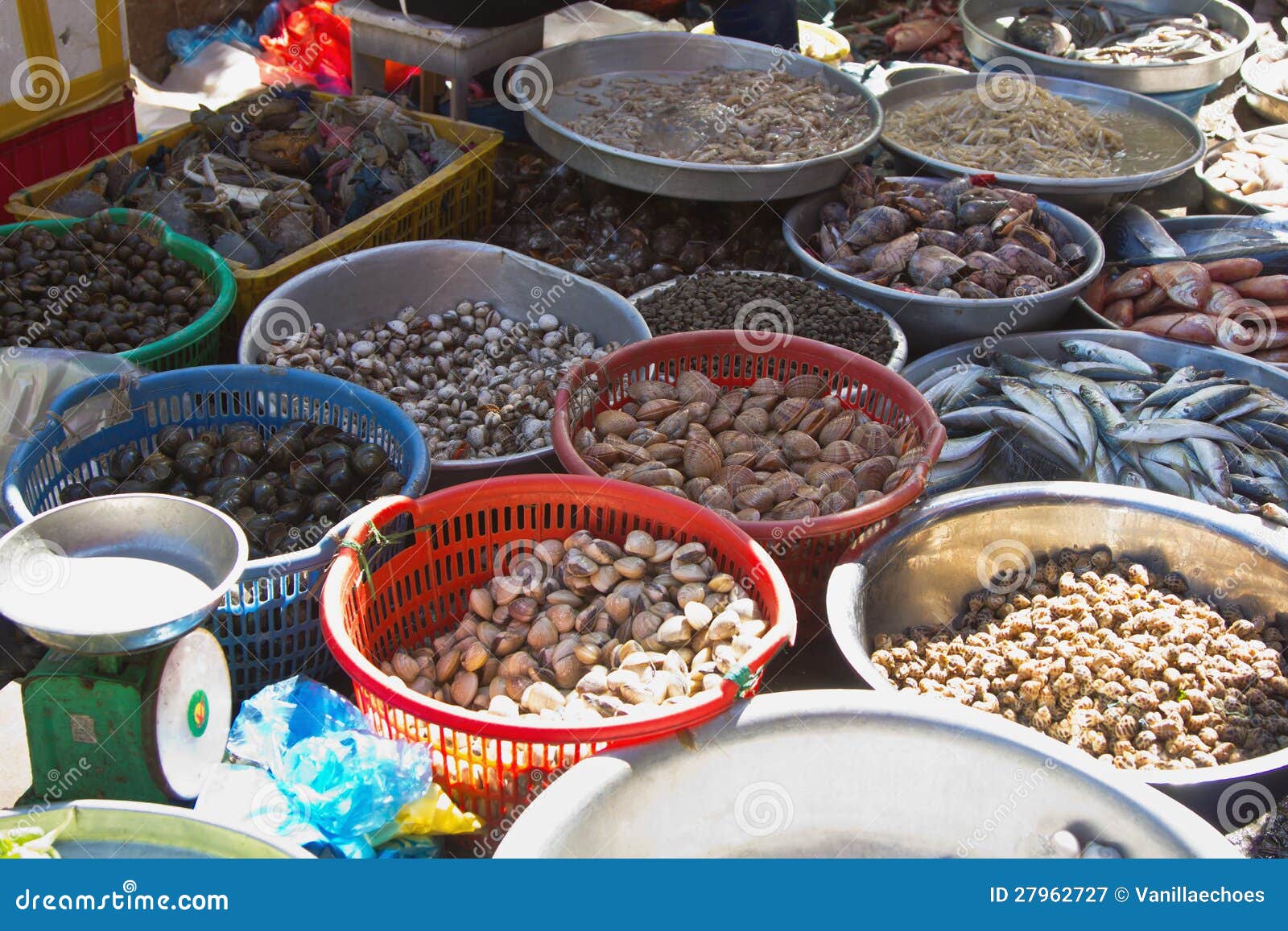 Seafood stall in a market stock image. Image of nutritious - 27962727