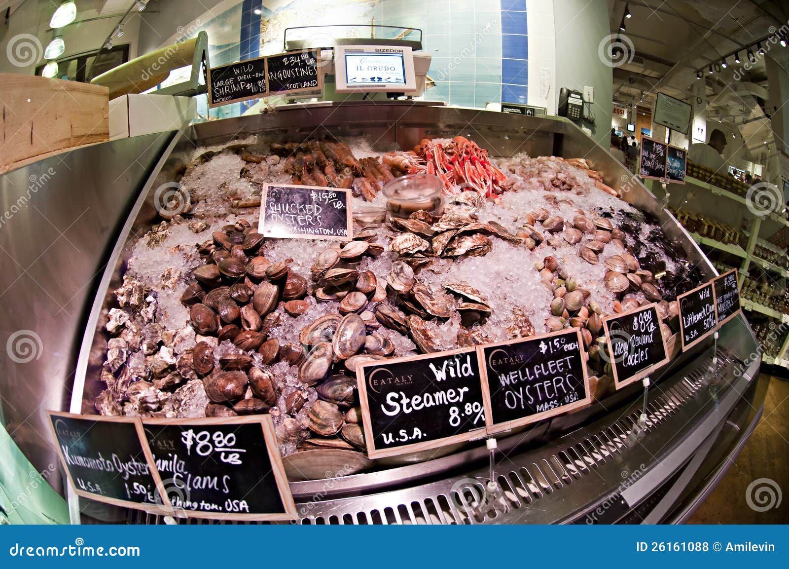 Seafood stand editorial stock photo. Image of scalopes - 26161088