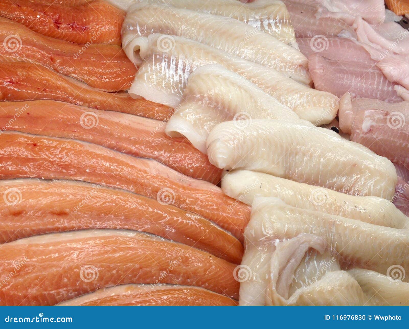 Seafood in the store stock photo. Image of haddock, shellfish - 116976830