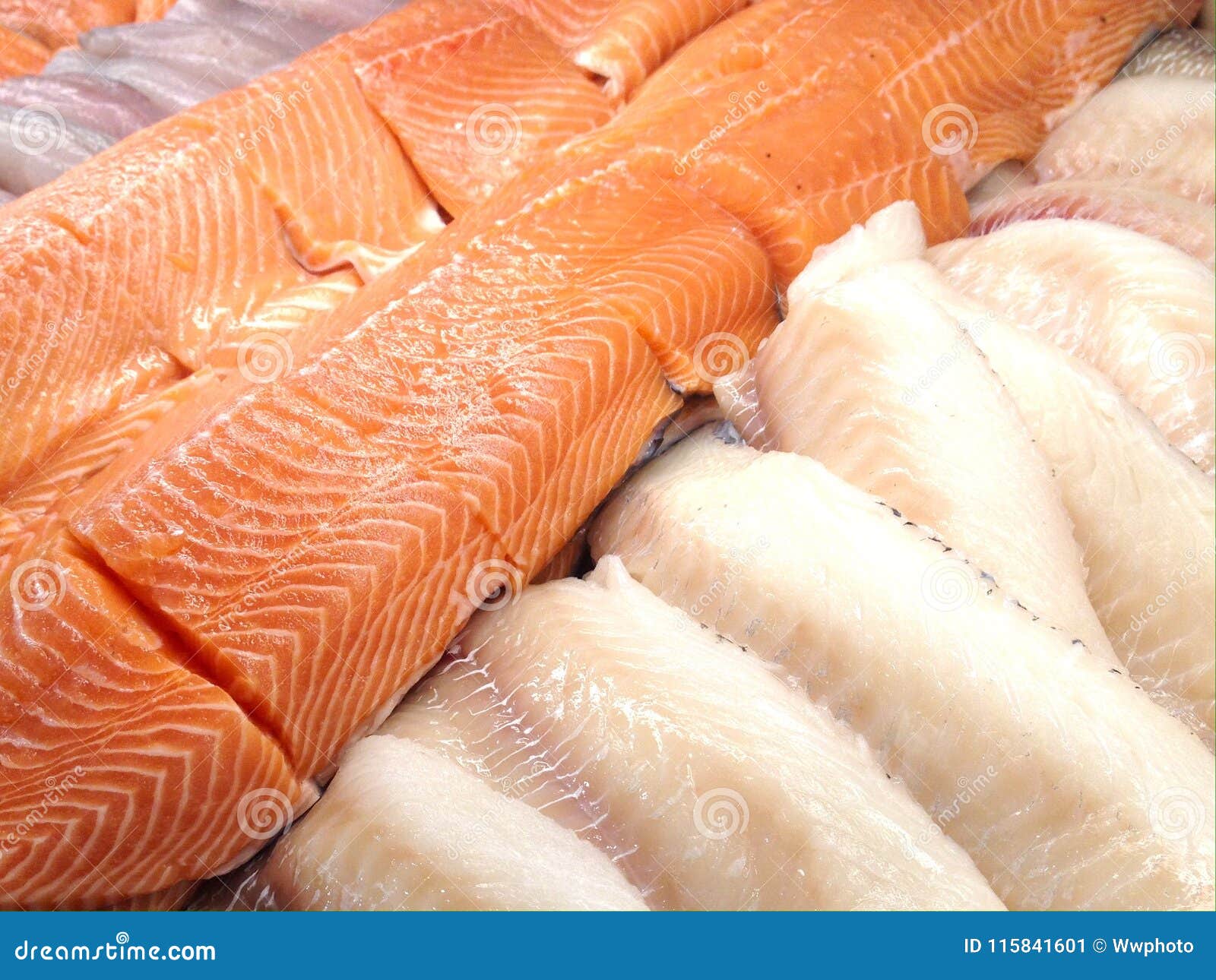 Seafood in the store stock image. Image of seafood, fild - 115841601