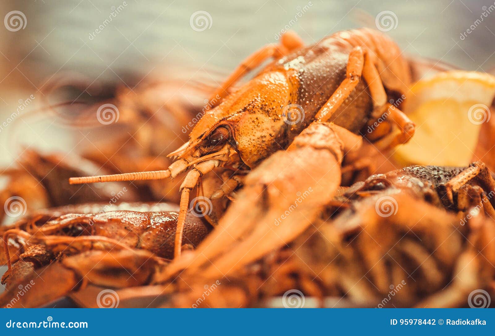 Seafood Tray with Red Boiled Crawfish in Restaurant Ready for Dinner ...