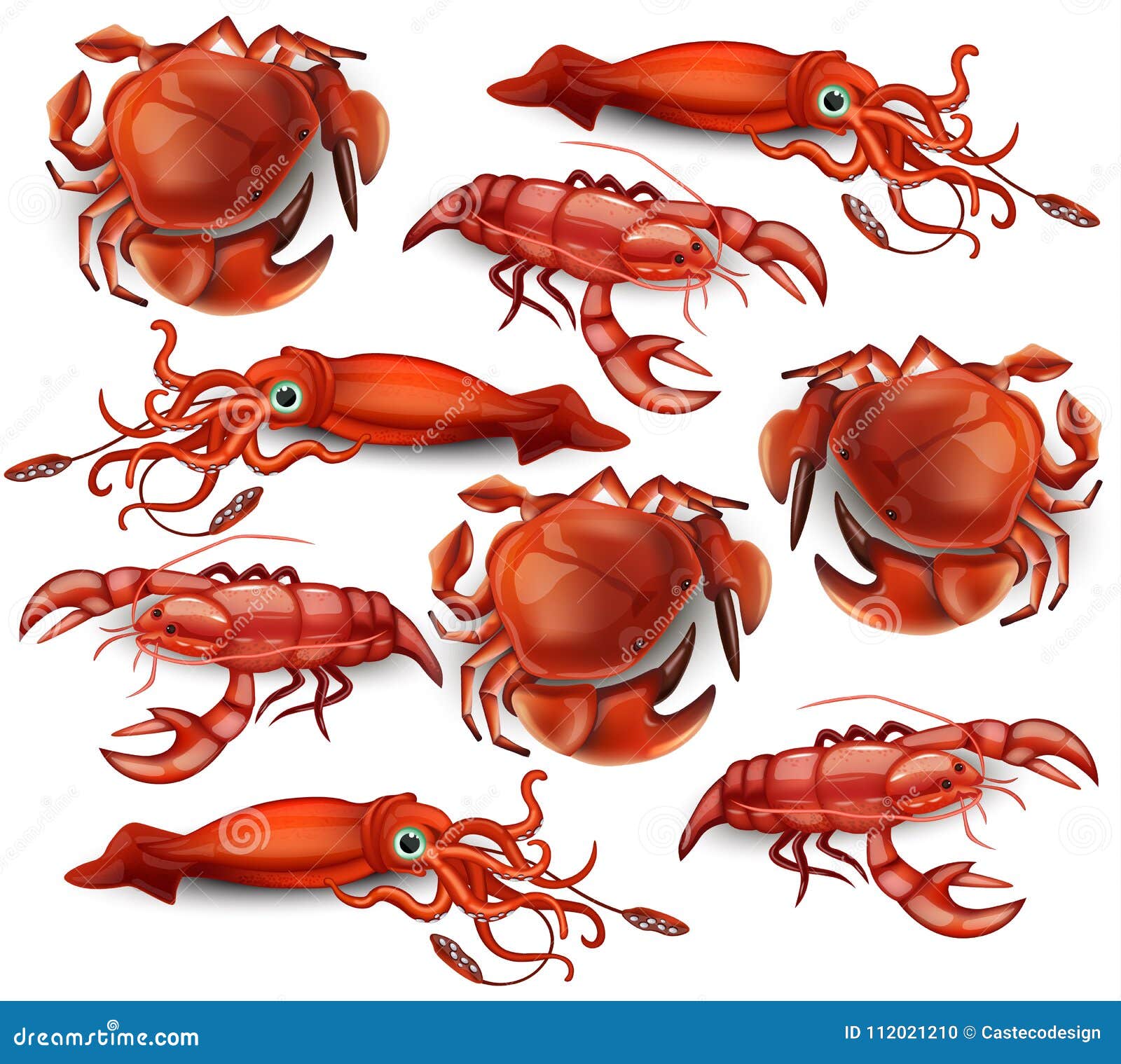 Seafood Vector Set Collecion Crabs, Cancer and Squids Stock ...