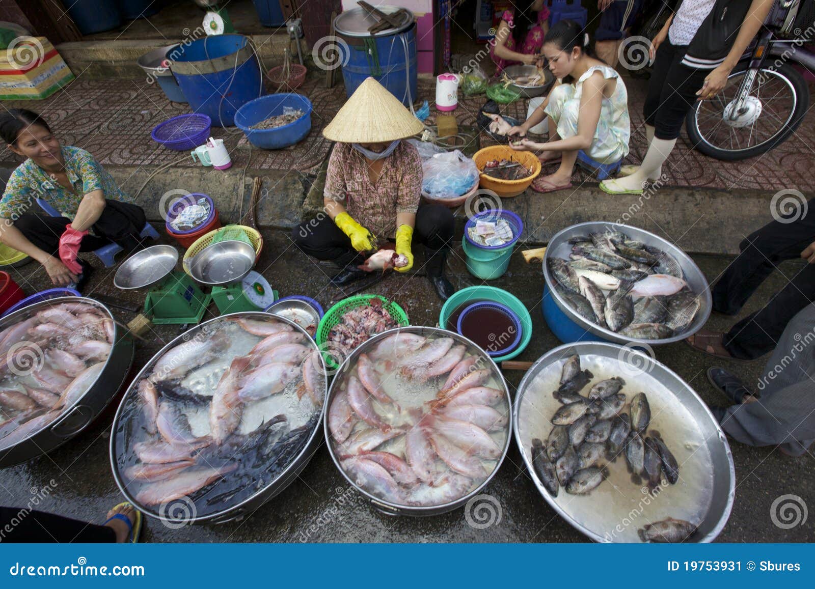 Seafood Vendor Vietnam editorial photo. Image of sidewalk - 19753931